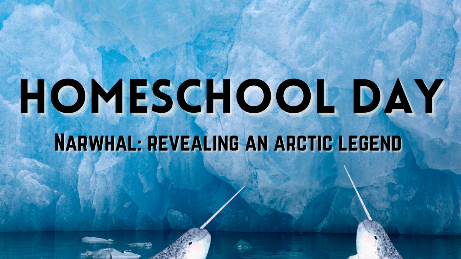 Homeschool Day - Narwhal: Revealing an Arctic Legend - Upcountry ...